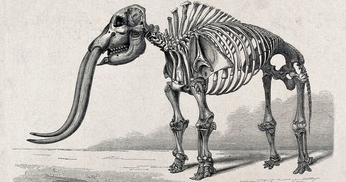 mastodon.autostatic.net